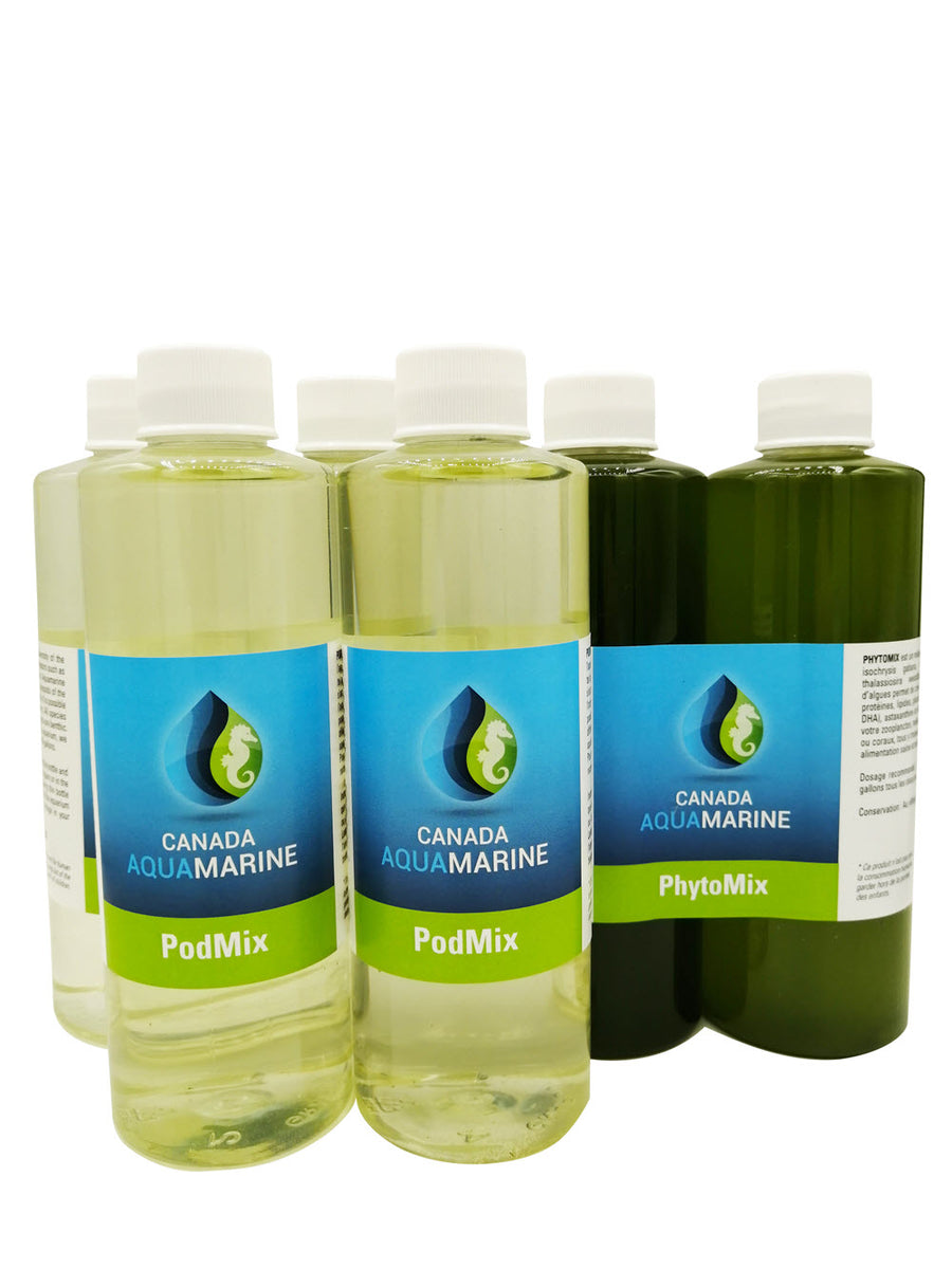 Starter kit: copepods + phytoplankton – Canada Aquamarine